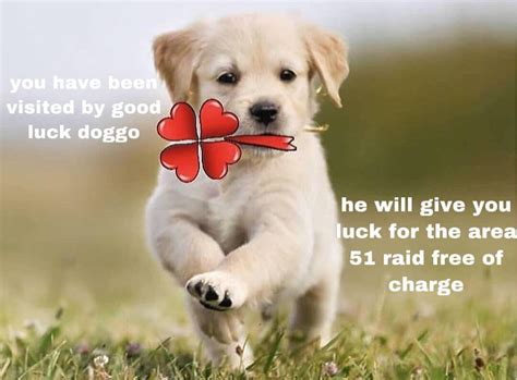 Good Luck Meme