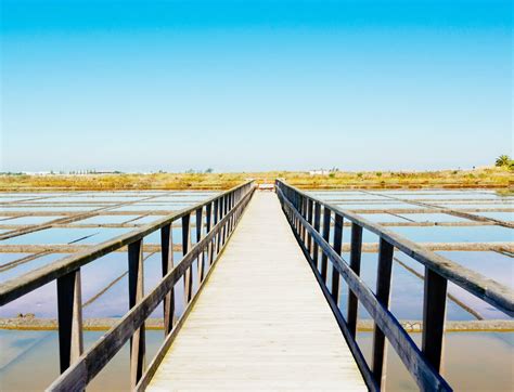 Qué Hacer Y Qué Ver En Aveiro Portugal • Viajar Y Otras Pasiones
