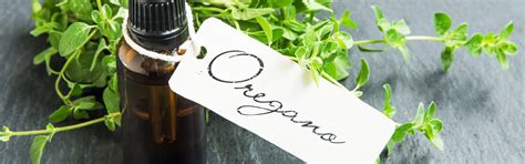 Oregano Oil & Your Gut - The Natural Nutritionist - Creating Healthy ...