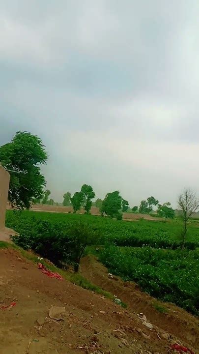 Aandi😱🌪 Youtube