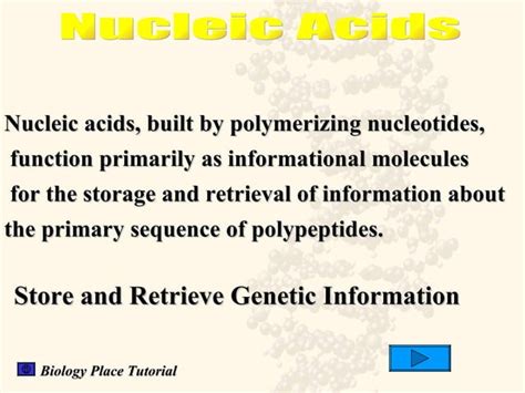 Structure And Function Of Nucleic Acids Ppt Chemistry Science