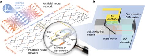 Reconfigurable Nonlinear Photonic Activation Function For Photonic Neural Network Based On Non