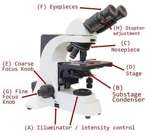Condenser Adjustment Knob Microscope