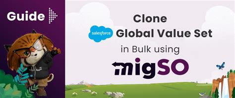 Guide To Clone Salesforce Global Value Set In Bulk Using Migso