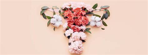 Whats A Friable Cervix Everything You Need To Know Peanut