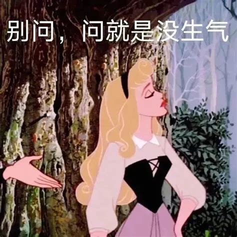 《灰姑娘》中的公主形象，配文 别问，问就是没生气” 表情包｜别问，问就是没生气表情包图片动图 求表情网斗图从此不求人