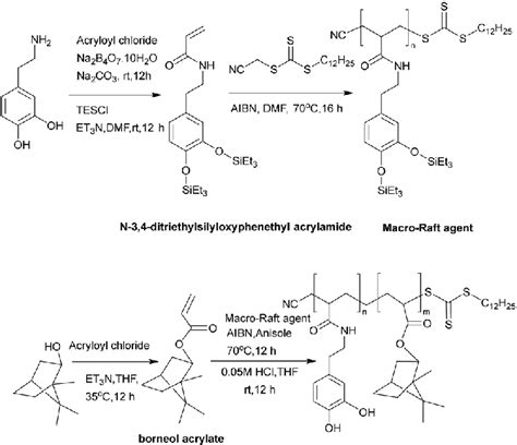 Synthesis Of The Monomers N 34 Dihydroxyphenethyl Acrylamide And