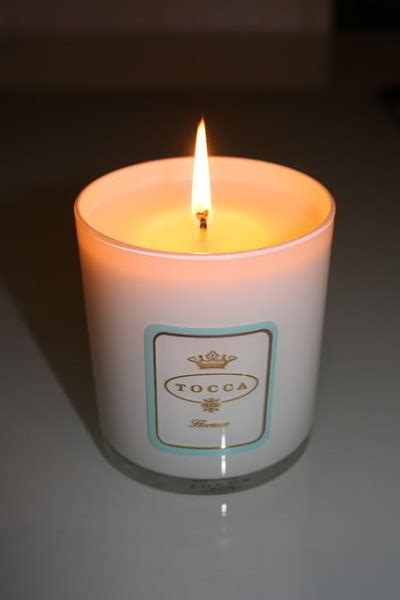 Spotlight On Tocca Shameless Fripperies