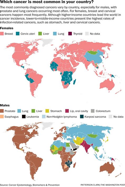 Most Common Cancer In Your Country Vivid Maps