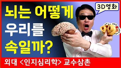 인지심리학 3d영화 뇌의 거짓말 범주지각 외대 인지심리학 교수 뇌과학 뇌와인지 언어학 촘스키 Youtube