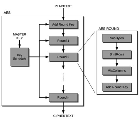 AES Encryption Block Diagram Download Scientific Diagram
