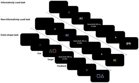 Illustration Of The Sequence Of Stimuli In The Three Types Of Download Scientific Diagram