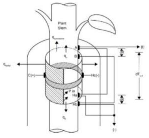 12 Schematic Diagram Of Former Stem Flow Sensor Lascano Et