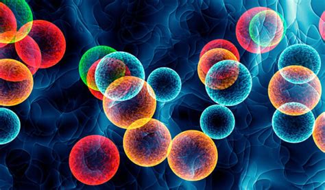 Applications Zbiotech