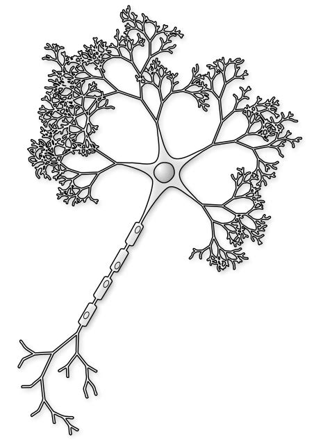 Broken Neuron Tattoo Request By Cammo7495 On Deviantart Artofit