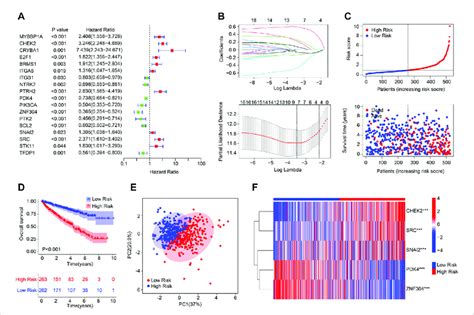 Risk Model Construction Based On The Args Prognostic Signature In