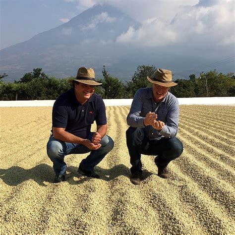 Jde Peets Completes Acquisition Of Maratás Coffee And Tea Business In