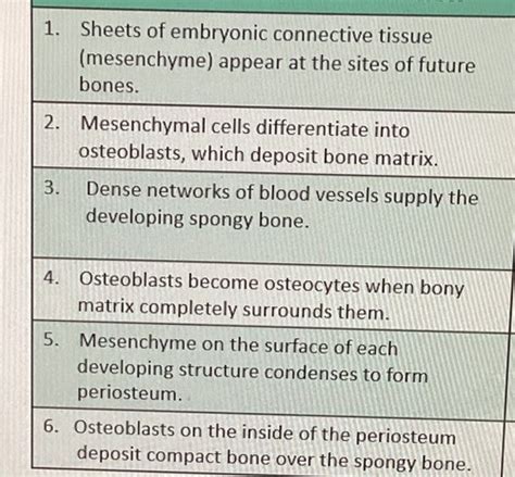 Chapter 7 Flashcards Quizlet