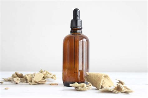 How To Make Mullein Tincture Easy Medicinal Recipe Documenting