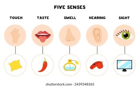 5 Senses And Examples