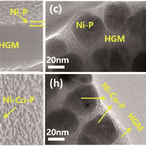 Xrd Patterns Of The Hgms Ahgms Hmscni Hmscnip Hmscnicop 268 Wt