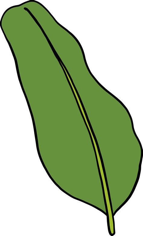 Free Simplicidad Hoja De Plátano Dibujo Continuo A Mano Alzada Diseño Plano 12664436 Png With