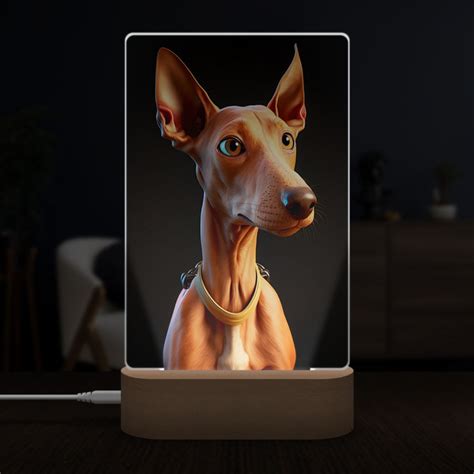 Lampa S Digitální Grafikou Psa Kyoprintcz