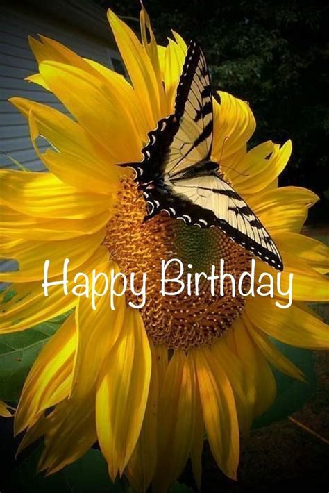 Sunflower Birthday Card Happy Birthday Wishes With Flowers Happy