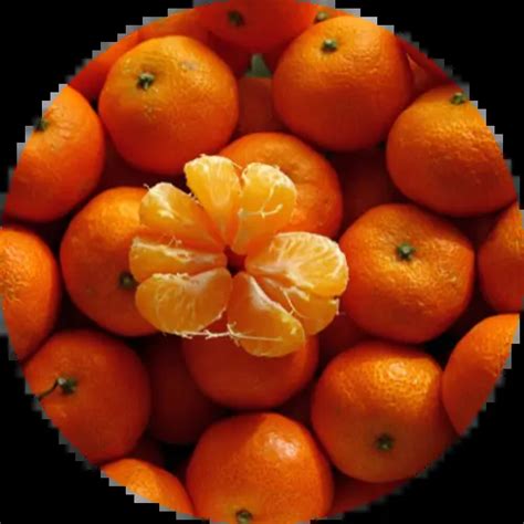 Optimizing Maintenance Contracts With Lts Laws Legal Expertise Lts Law Firm