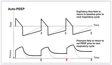 Thread By Nidaqadirmd On Thread Reader App Thread Reader App