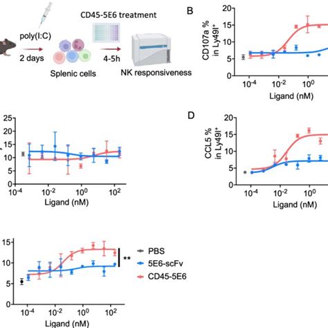 Cd45 Nkr Potentiates Nk Killing Of Rma Cells Ab Nk Cells Were