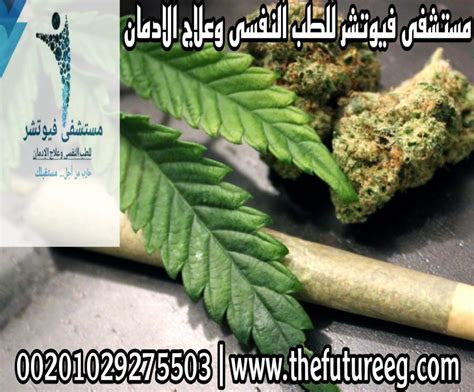 تأثير الماريجوانا على الجهاز العصبي مستشفى فيوتشر