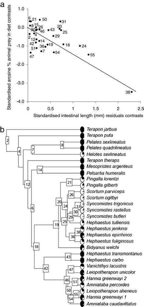 Phylogenetic Independent Contrasts Of Terapontid Diet Versus Intestinal Download Scientific