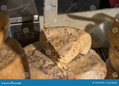 Traditional Cheese With Worms Banned And Illegal Cheese With Flies And