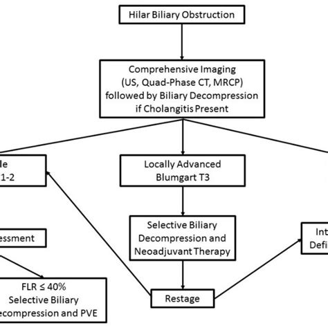 Algorithm For Preoperative Assessment And Management Of Patients With Download Scientific