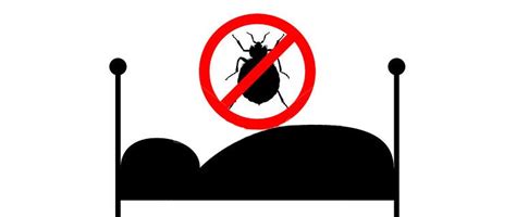 Bed Bug Eradication Program