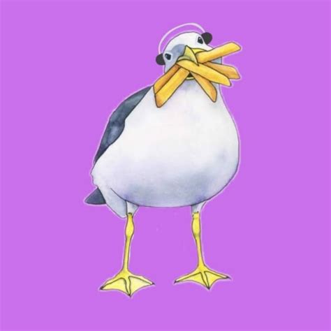 Squawk Official Youtube