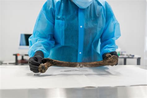 Othram Solves Cold Cases With Advanced Dna Testing Community Impact