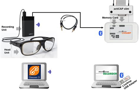 Combining EEG And Eye Tracking A Workflow For Your Mobile Experiment