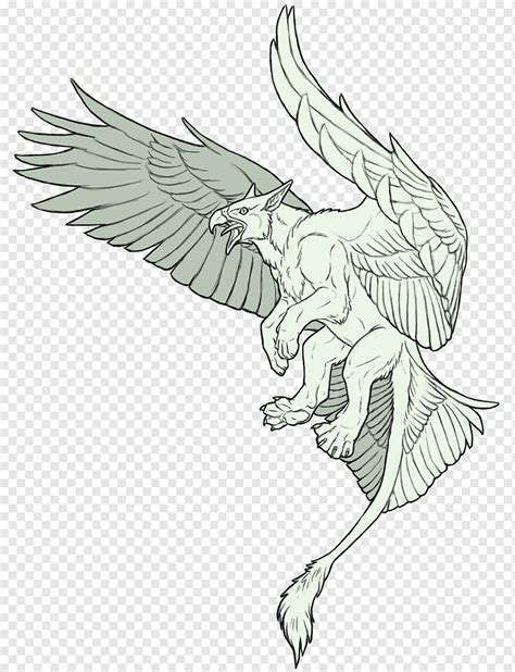 Griffin Drawings