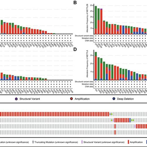 Genetic Alteration Status Of M3c Associated Genes In Cancer A D The