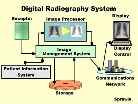 Digital Radiography Meddic