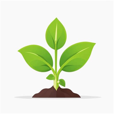 Premium Photo Sprout Vector 3d Illustration