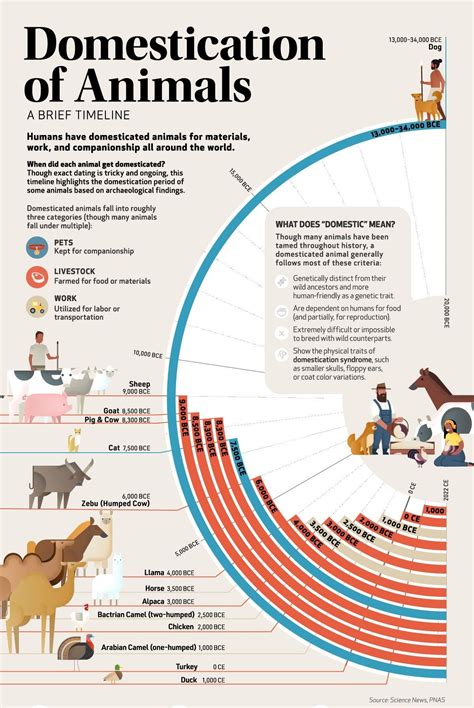 pascal thalmann on linkedin what an interesting visualization thanks