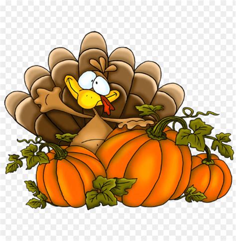 Thanksgiving Turkey Png Images Background Image Id Is 53821 Toppng