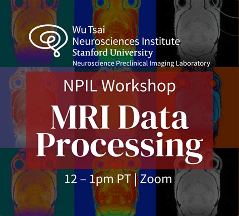 Npil Workshop Mri Data Processing Wu Tsai Neurosciences Institute