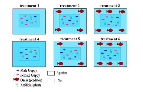 Game Theory At The Molecular Level Modeling Strategy Selection In The Expression Levels Of