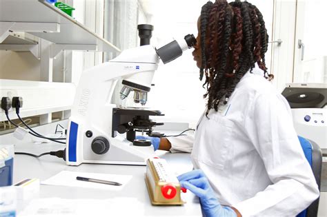 Msc Human Clinical Embryology And Assisted Conception University Of