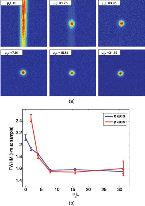 Tissue Mimicking Phantoms A The Top Left Panel Shows That With No Download Scientific Diagram