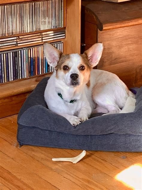 David Tapley Its True Im A Marine Biologist You Can Facebook